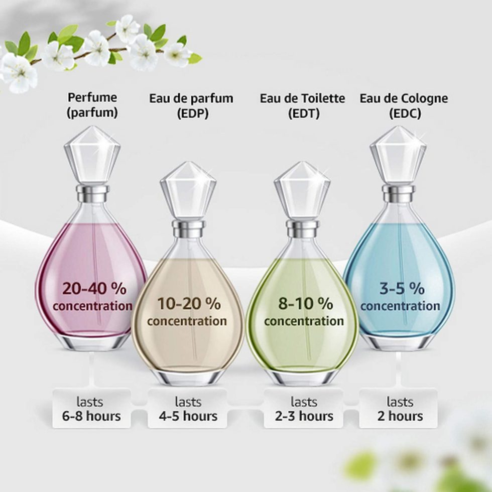 Dolce and Gabbana Floral Drops Review 2025